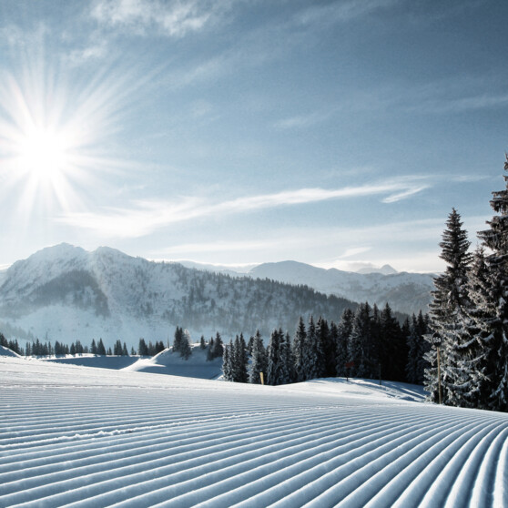 Ultimate ski challenge: 12 Peaks Trophy at Snow Space Salzburg