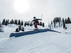Winter holidays in Salzburg - Ski resort Snow Space in Austria