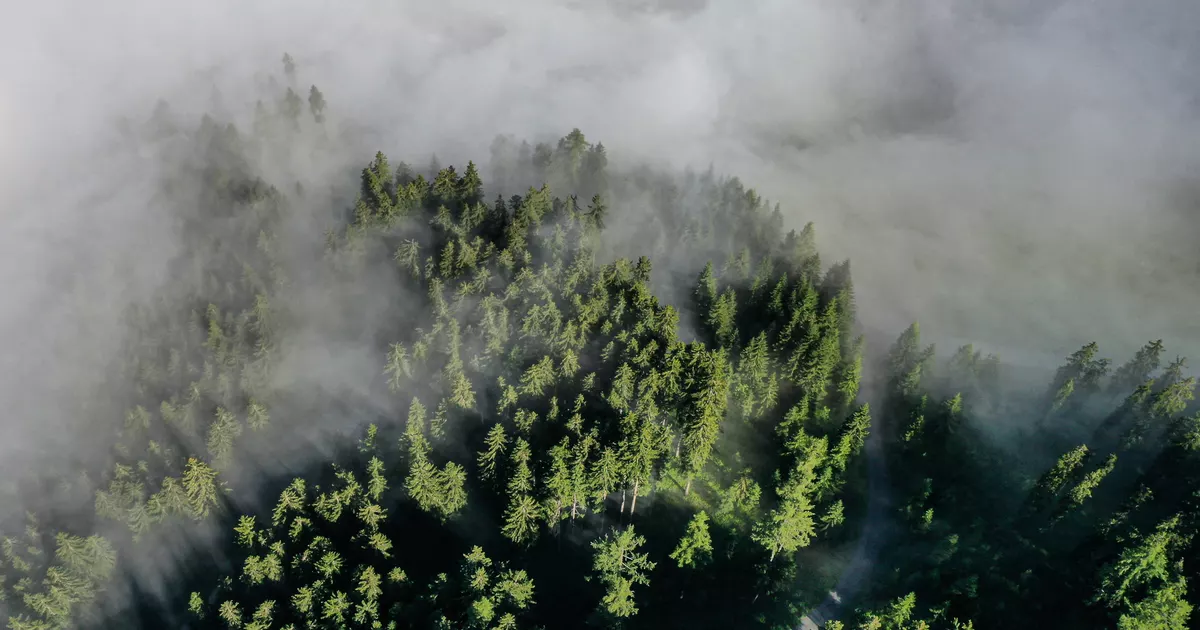 Summer weather in Flachau, Wagrain & St. Johann Alpendorf