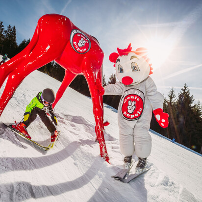 Winter holidays in Salzburg - Ski resort Snow Space in Austria